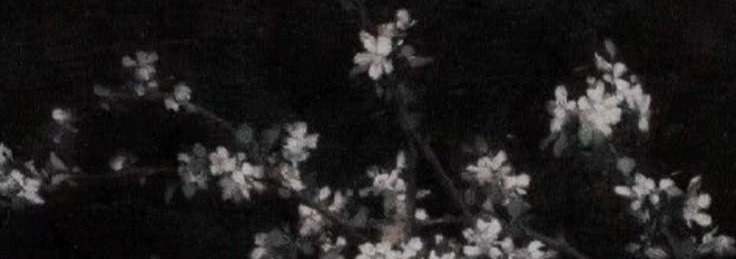 Aesthetic Dark Discord Banner