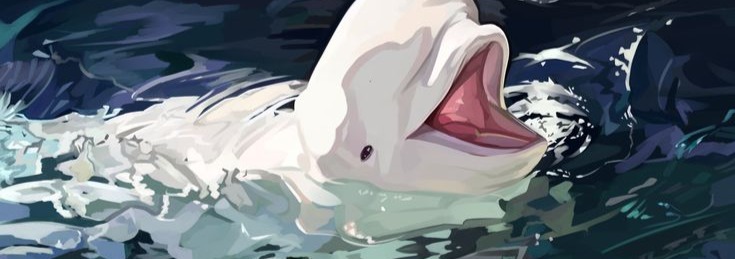 Beluga Discord Banner