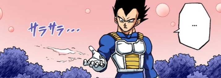 Vegeta Discord Banner