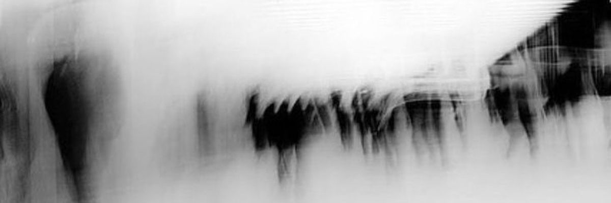 Black White Banner Discord Banner