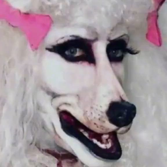 Skinwalker Pfp by Sprite