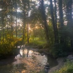 Nature Pfp by hayden.0