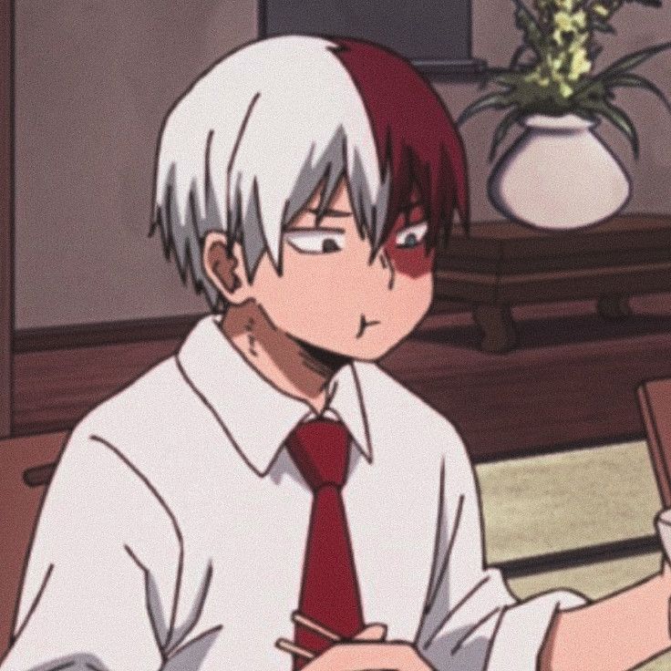 Todoroki Shoto 5 Pfp by MrCheckertan