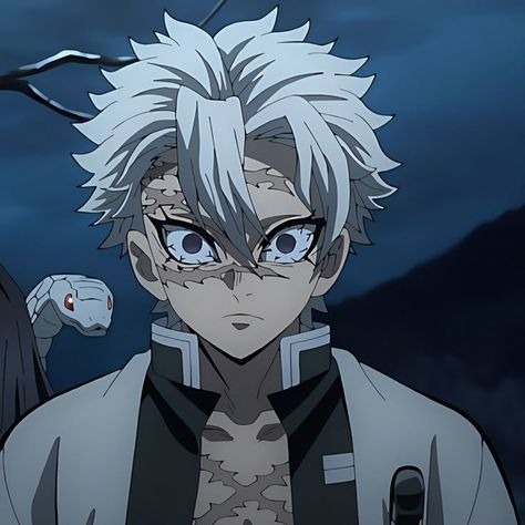 Sanemi Display Picture Pfp by sirraed