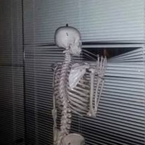 Spooky Pfp Collections