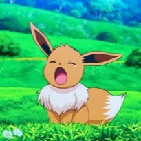 Eevee Pfp by Bella