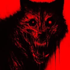 Wolf Pfps and Icons - For Discord, Instagram & TikTok