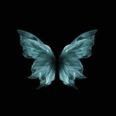 Butterfly Pfp Pfp by kawaisl