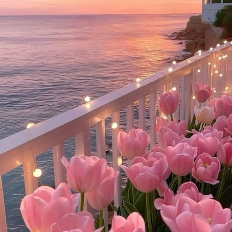 Flower Pfp Pfp by qu1xn