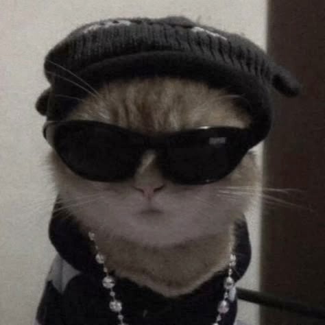 Demon Cat Pfp by Kohai