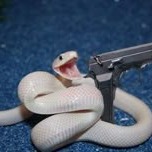 Cute Snake Pfp by Lucid