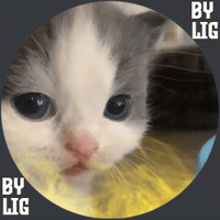 cute cat animation Pfp by Lig