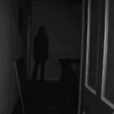 Scary Pfp Collections