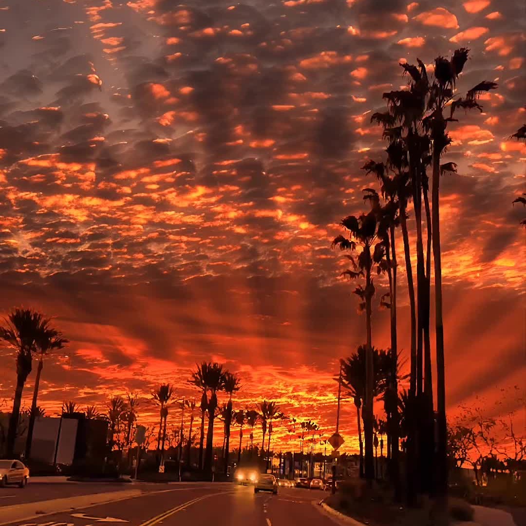 Sunset Pfp by bubblycuzynot