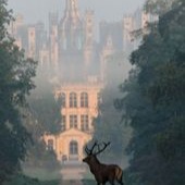 Fairycore Profile Icon Pfp by rockhartd