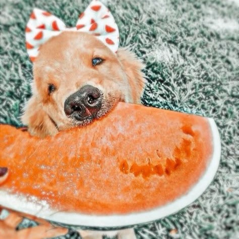 Preppy Pfps and Icons - For Discord, Instagram & TikTok