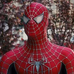 Tobey Maguire Spider Man Pfp by gri