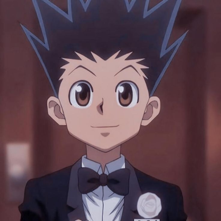 Hunter X Hunter Matching Pfp by Maxvraak