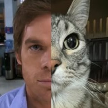 Dexter Funny Pfps and Icons - For Discord, Instagram & TikTok