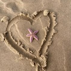 Summer Pfps and Icons - For Discord, Instagram & TikTok