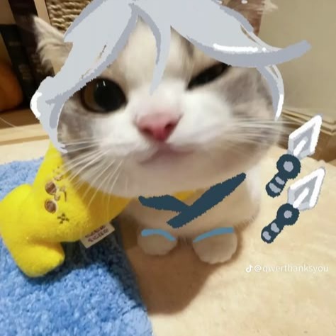 Valorant Pfp Collections