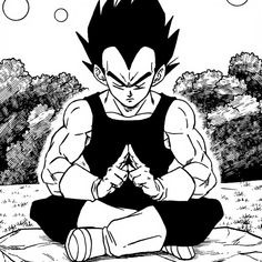 Vegeta Pfps and Icons - For Discord, Instagram & TikTok
