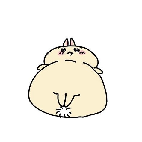 Usagi Profile Photo Pfp by MrCheckertan