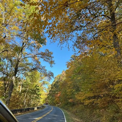 Fall Pfp Pfp by redst0nem4n.