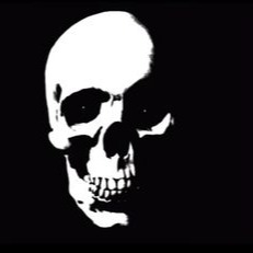 Skull Pfp Pfp by Jaxon