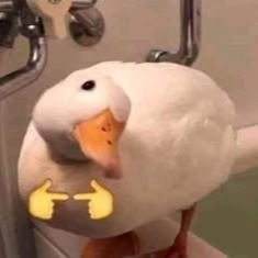 Cute Goose Pfp by ThunderXi