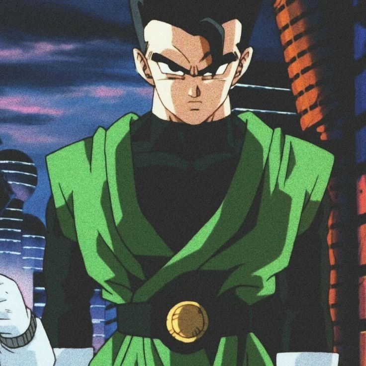 Dragon Ball Matching Pfp Pfp by noé