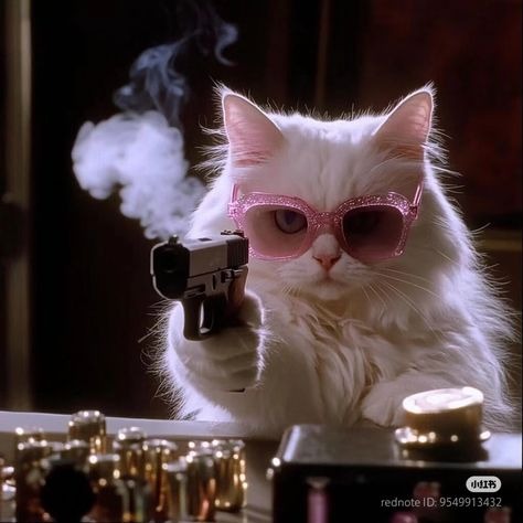 Gangster Cat Avatar Pfp by cosmic demon