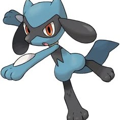 Riolu Pfp by fruitusmaximus