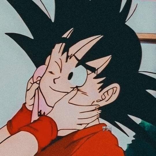 Dragon Ball Matching Pfp by Jaxon