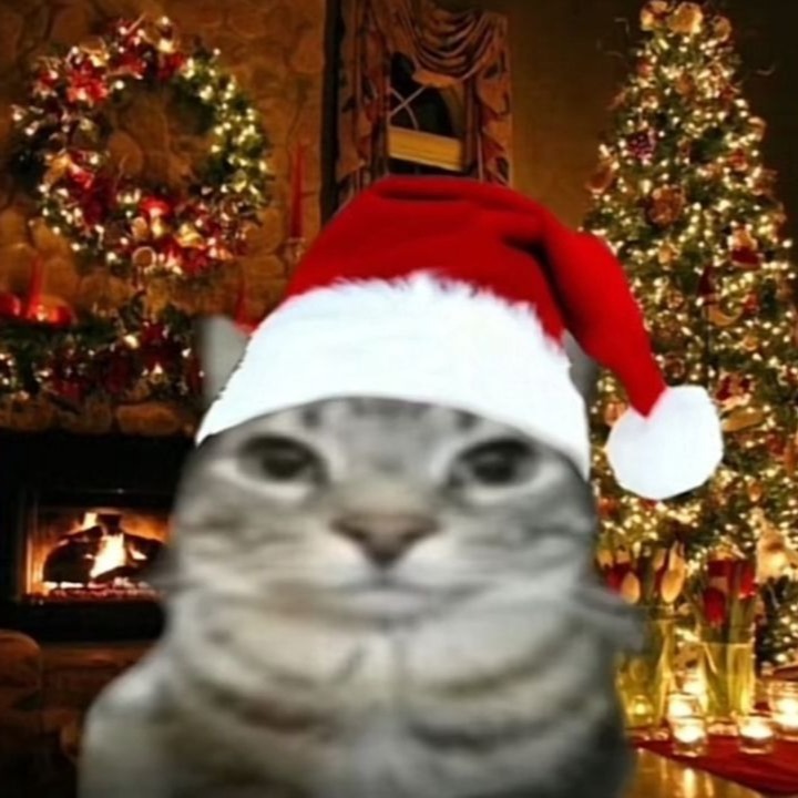Christmas Cat Pfp by juralol123