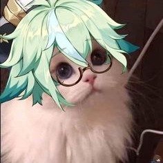 Sucrose Pfp by Faith꒰♡꒱