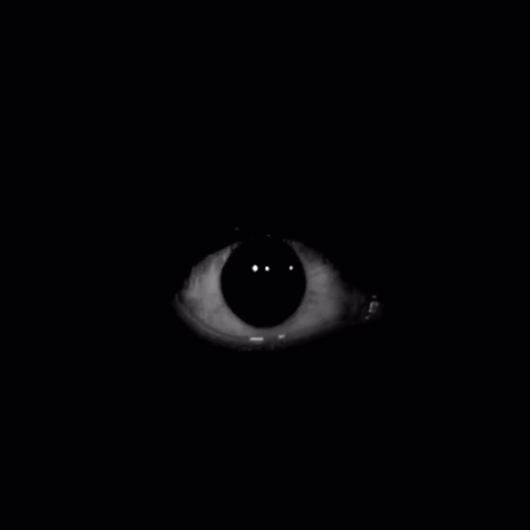 Scary Pfp Collections Scary Pfp Collections