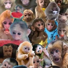Monkey User Picture Pfp by juralol123