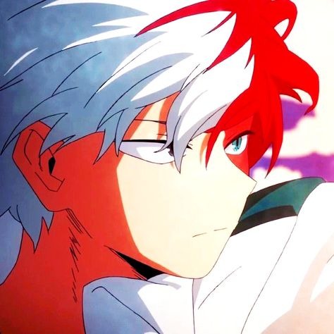 Shoto Pfp by rockhartd