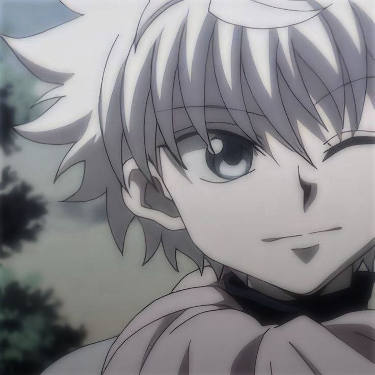 Hxh Matching Pfp by Sora
