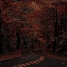 Fall Aesthetic Pfp by Shad