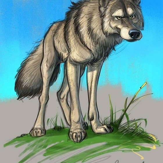 Wolf Pfp by abdulrahman01