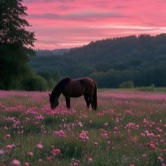 Horse Pfp Pfp by sirraed