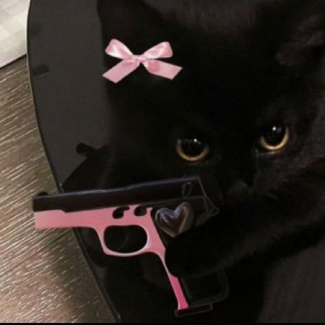 Gangster Cat Pfps and Icons - For Discord, Instagram & TikTok