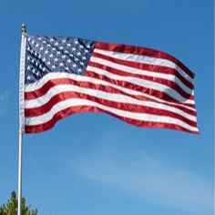 Usa Flag Pfp by Bella