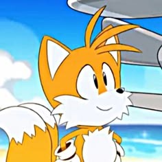 Tails Pfp Collections