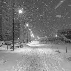 Winter Pfp Collections