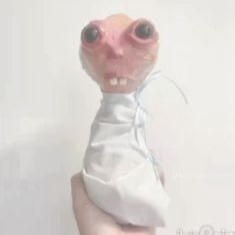 Weirdest Pfp by hayden.0