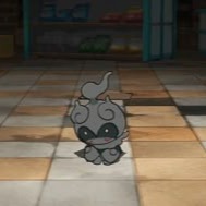 Shadow Pfp Collections