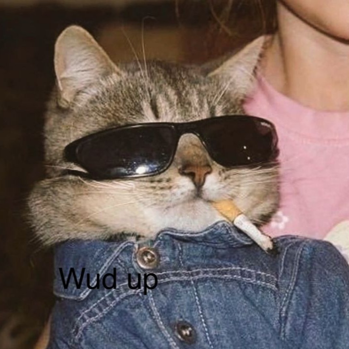 Gang Pfp Collections